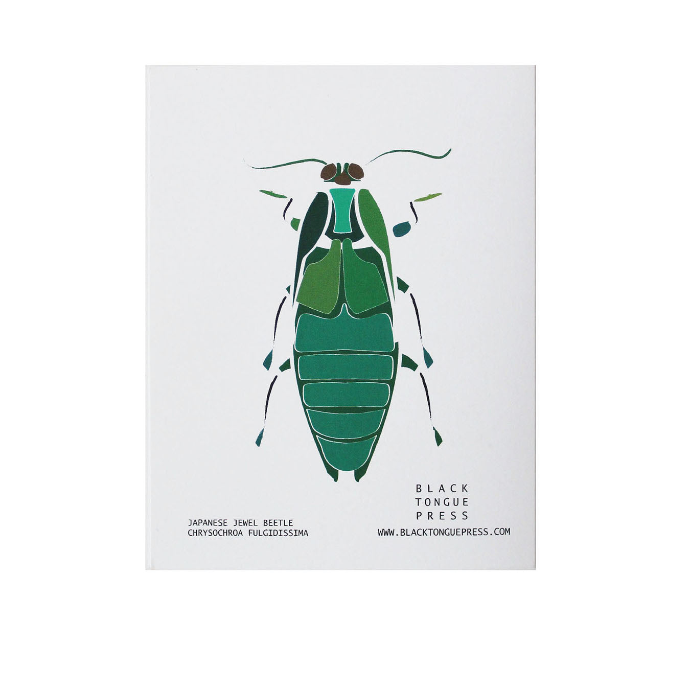 Japanese Jewel Beetle Card – Lingua Nigra